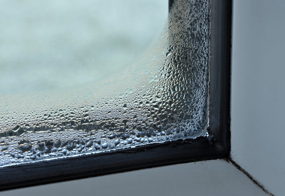 Humidity, Condensation, Damp and Mould – Clean Air Direct